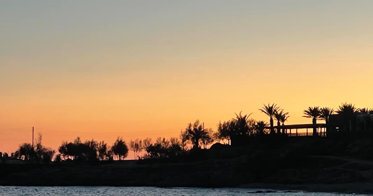 Harum Bitter 24 / beyond bitter liqueur